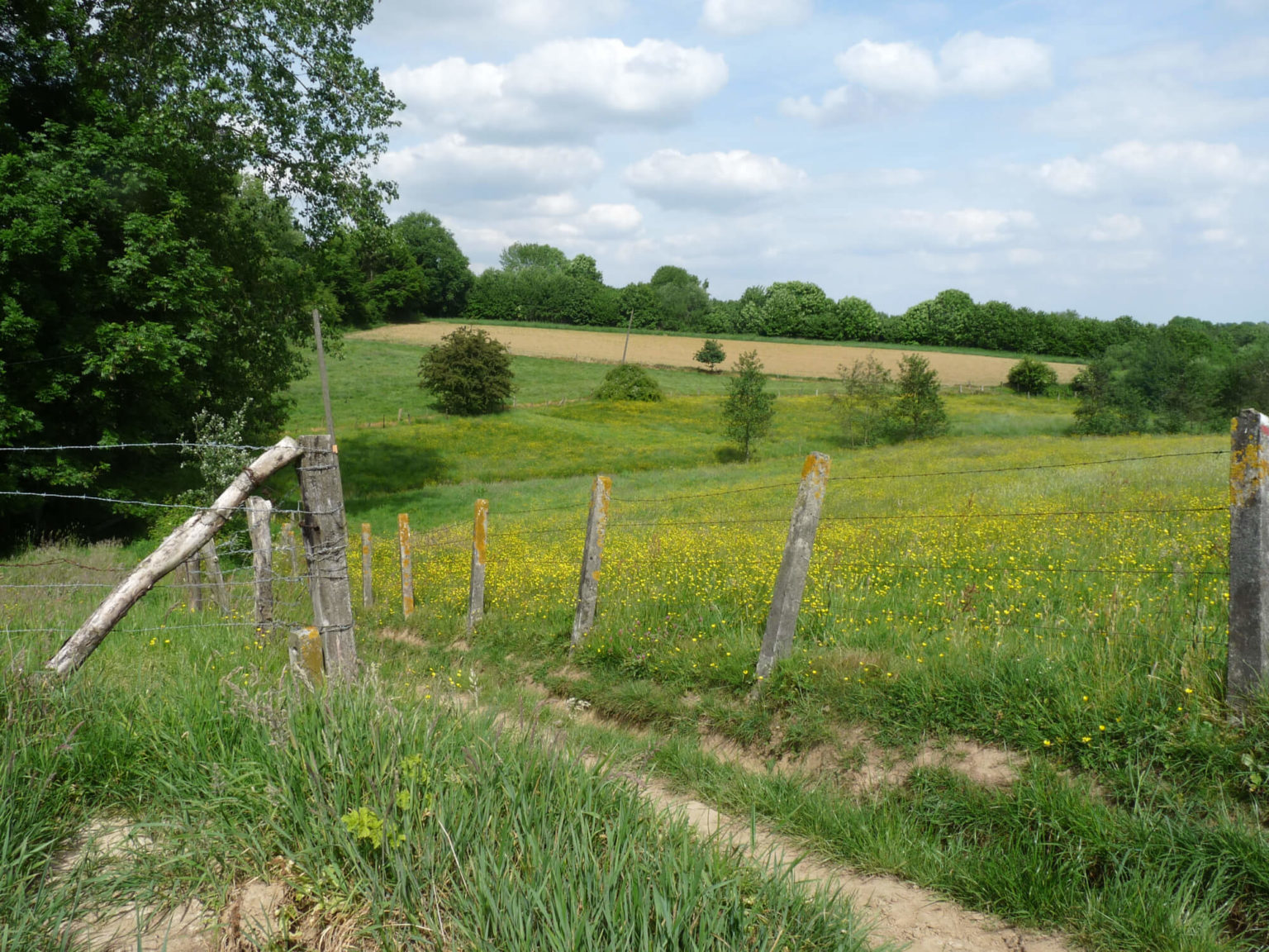 Parc naturel du Pays des Collines - Fédération des Parcs naturels de ...
