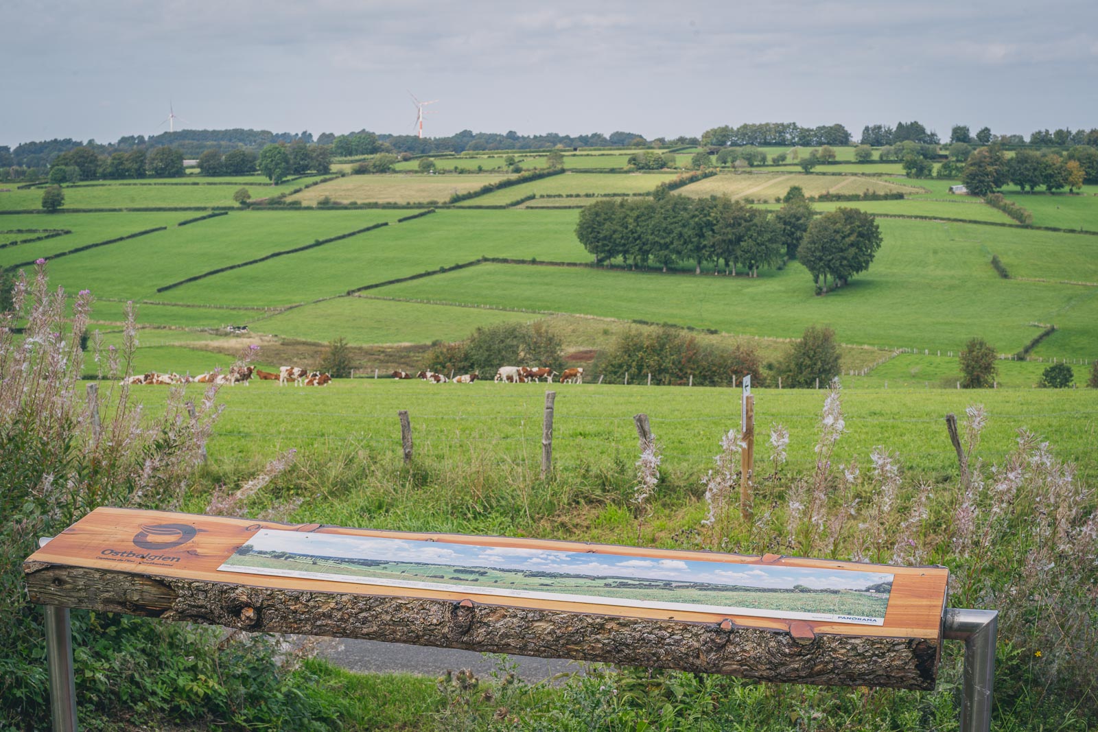 Parc naturel Hautes Fagnes-Eifel - Fédération des Parcs naturels de ...