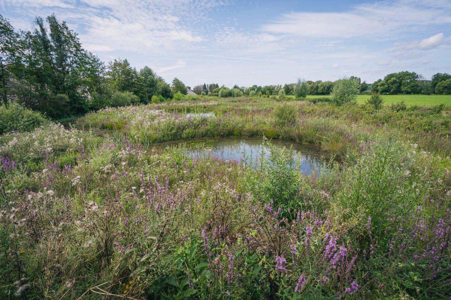 Parc naturel Viroin Hermeton - Fédération des Parcs naturels de Wallonie
