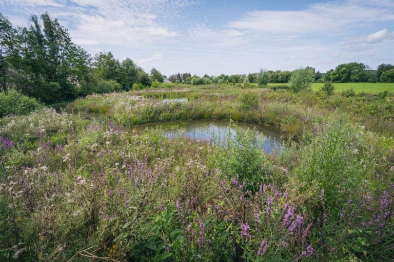 Parc naturel Viroin Hermeton - Fédération des Parcs naturels de Wallonie