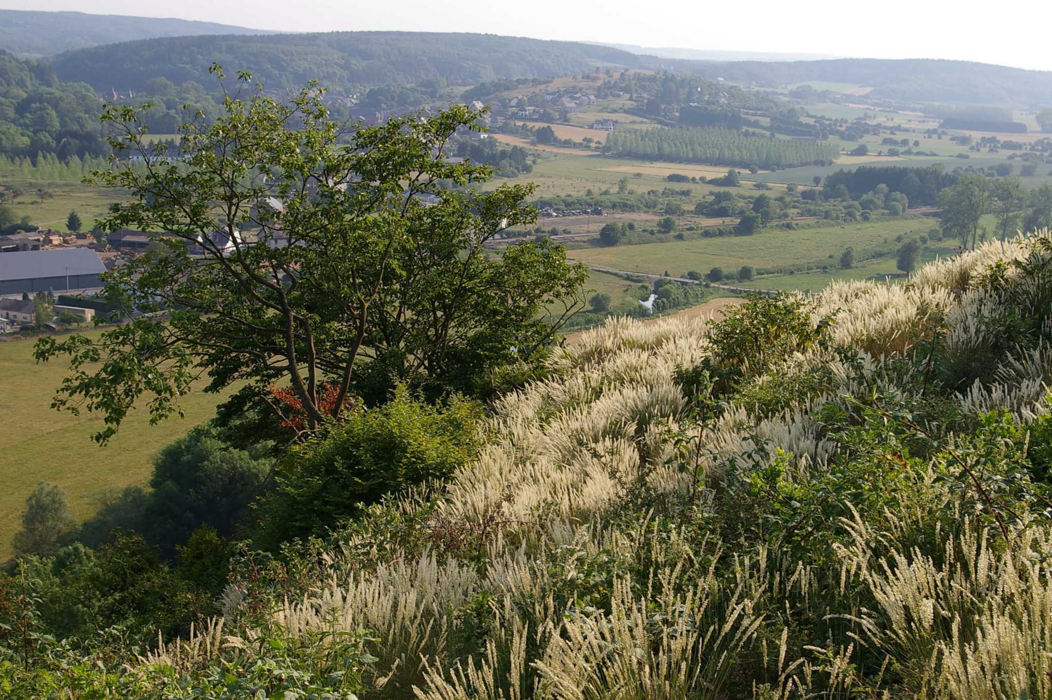 Parc naturel Viroin Hermeton - Fédération des Parcs naturels de Wallonie
