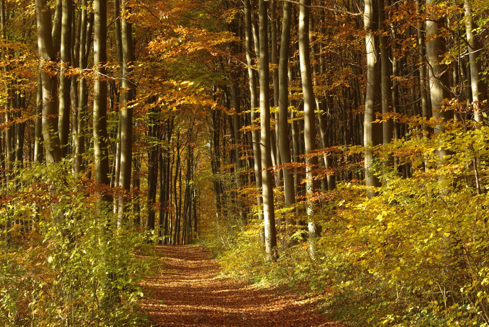 Parc naturel Viroin Hermeton - Fédération des Parcs naturels de Wallonie